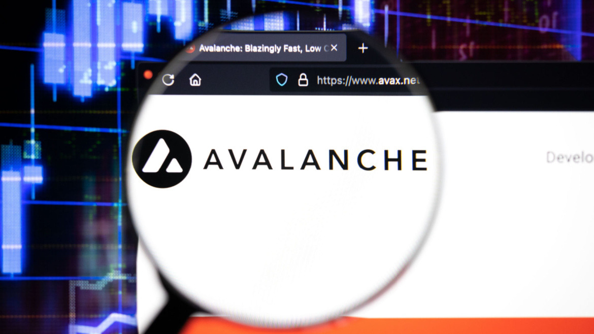 Avalanche Vakfı Yatırım Yaptığı 5 Meme Coin'i Açıkladı! - Koin Bülteni