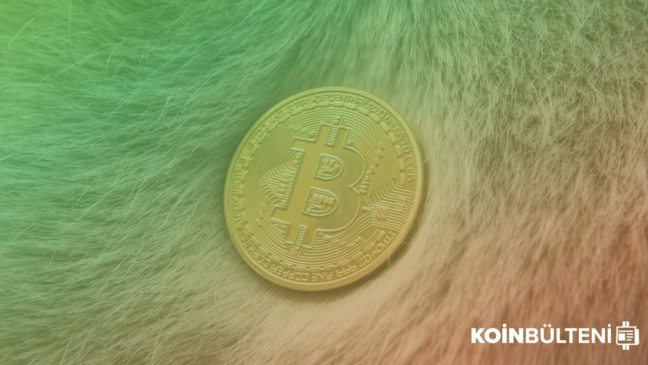 Bitcoin (BTC) 16 Bin Doların Altına Düştü: Sırada Ne Var? - Koin Bülteni