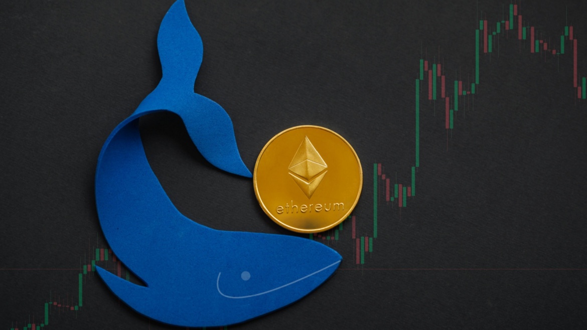 15x Yapan Balina Kazandığı 1,3 Milyon Dolarla Yeni Altcoin Aldı - Koin ...